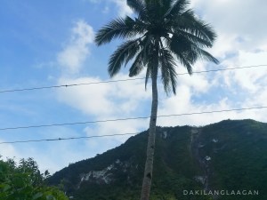 Argao: Back where it all Started (Mt. Lantoy, Bugasok Falls, and Balay ...