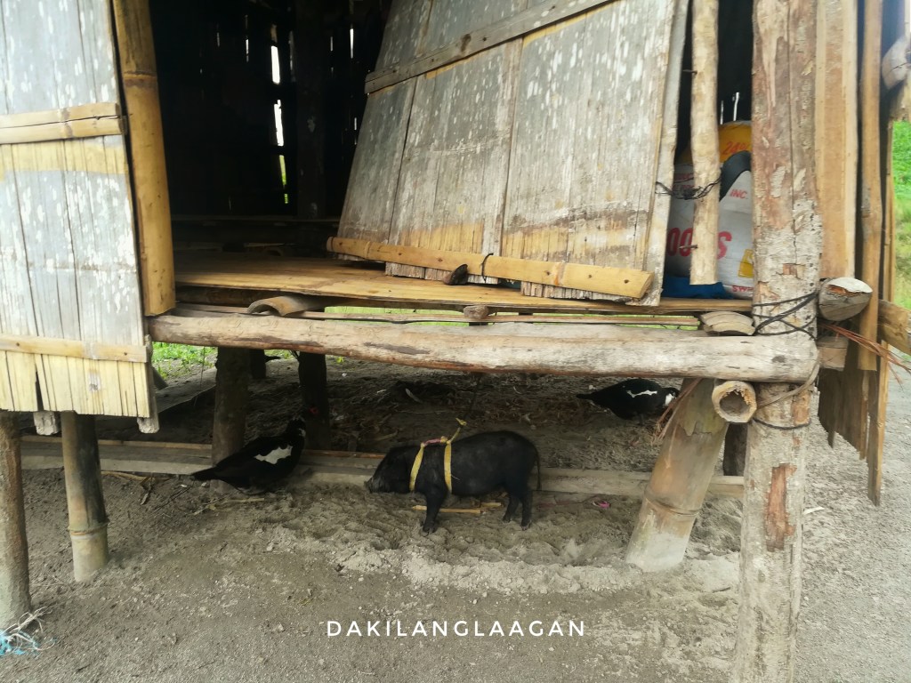Lake Holon: Proof that Faith Can Indeed Move Mountains – Dakilanglaagan