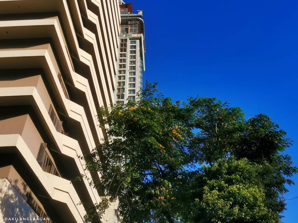 When Narra trees bloom… – Dakilanglaagan