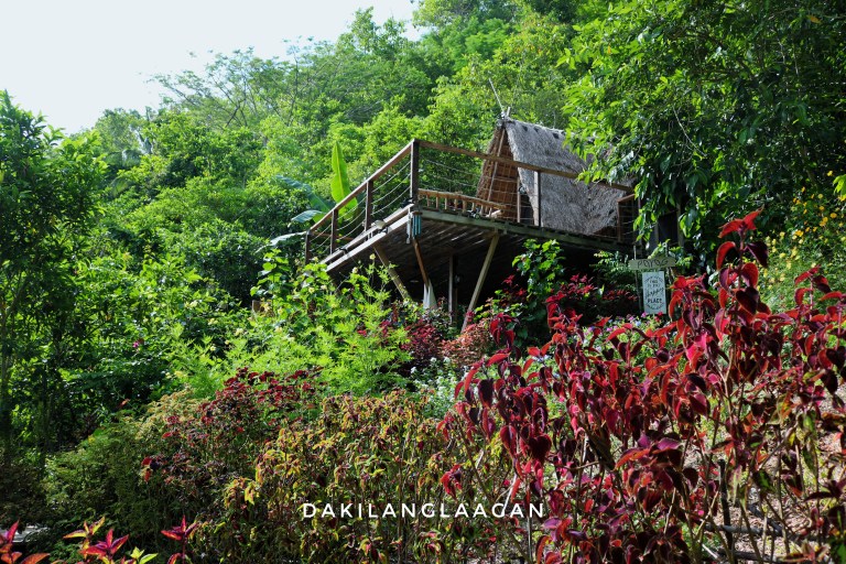 Borrowed Summer Days in Alhibé Farm – Dakilanglaagan
