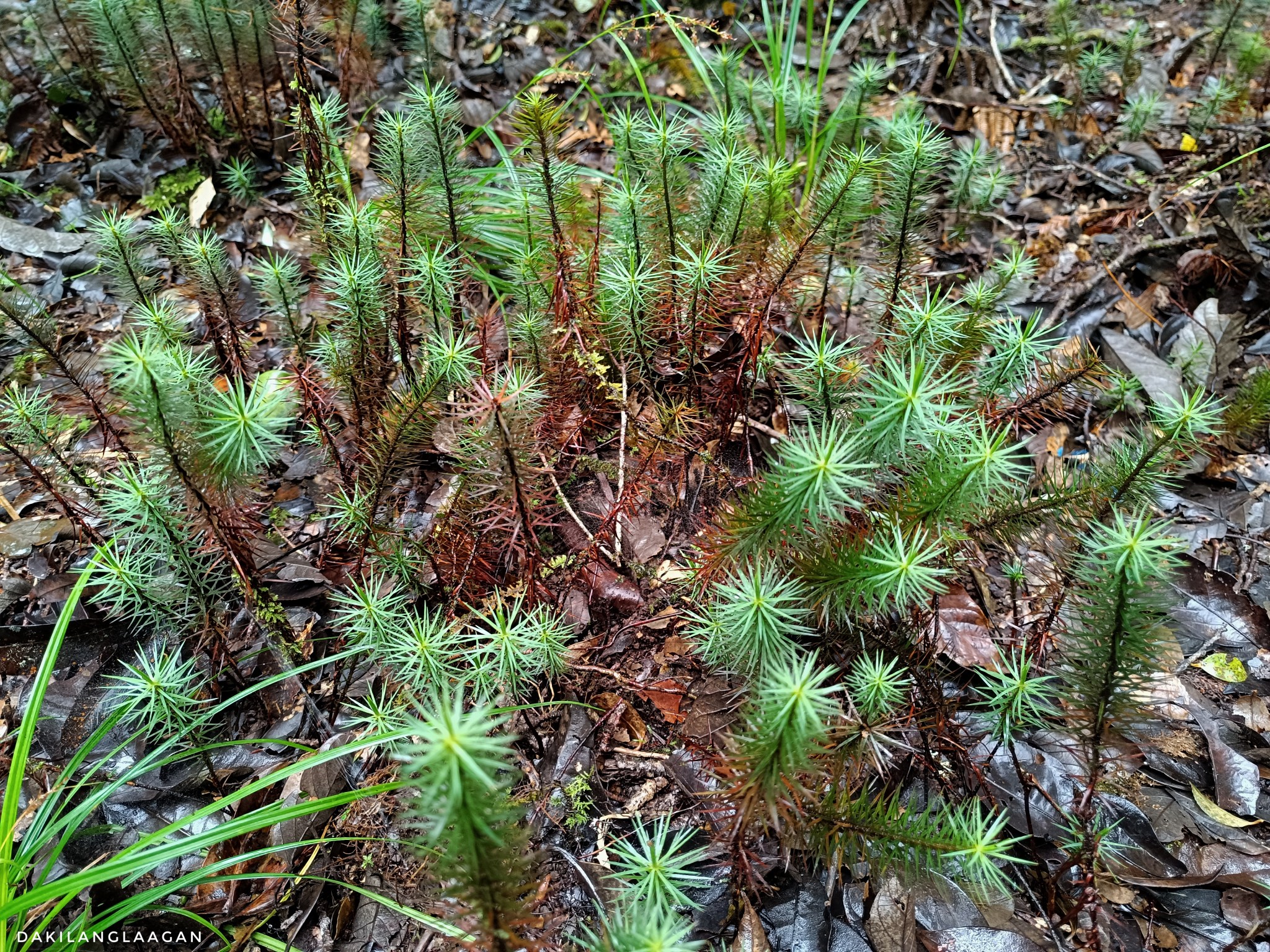 My Drone Crashed—And Other Unexplainable Things that Happened During ...