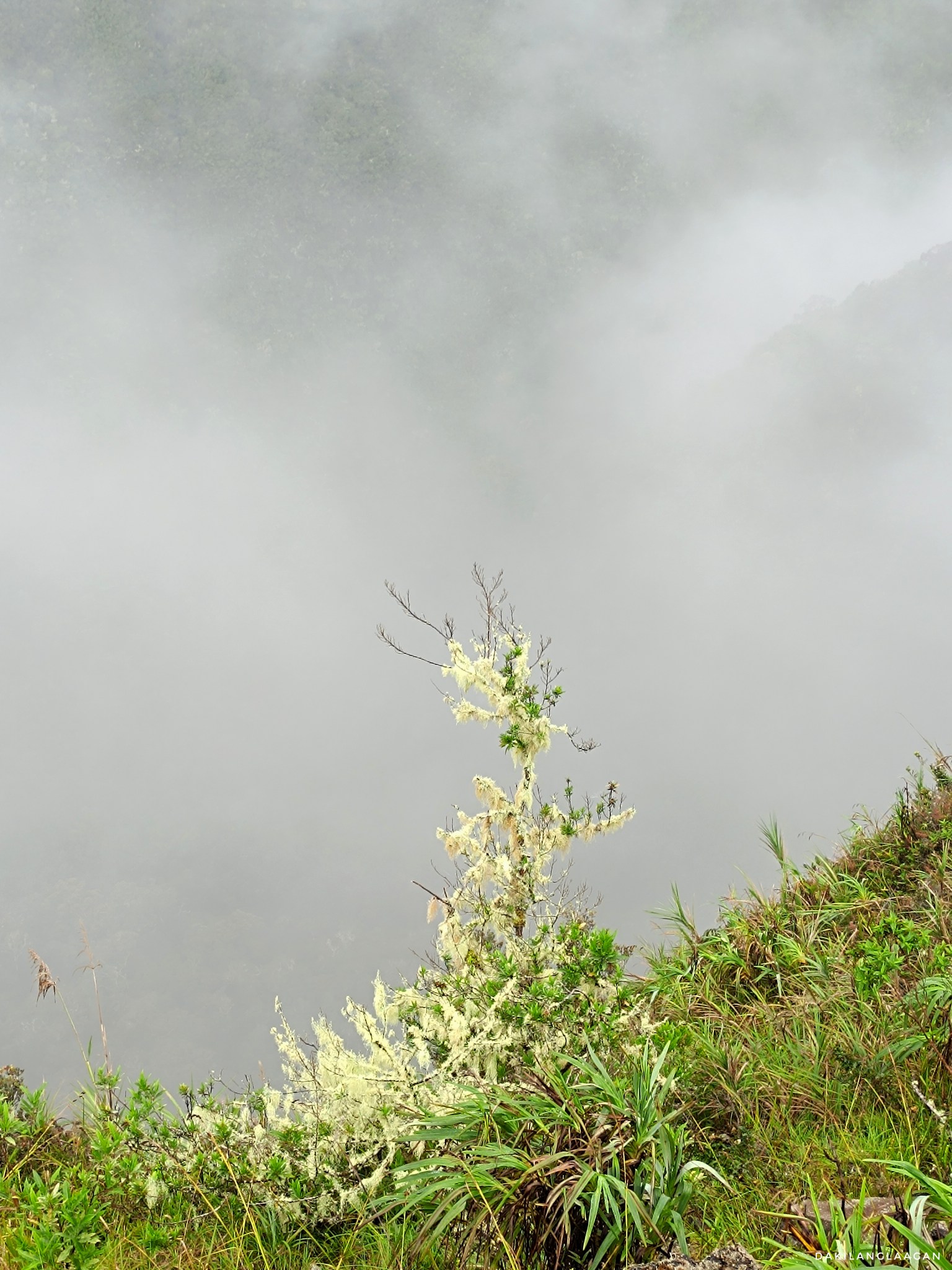 My Drone Crashed—And Other Unexplainable Things that Happened During ...