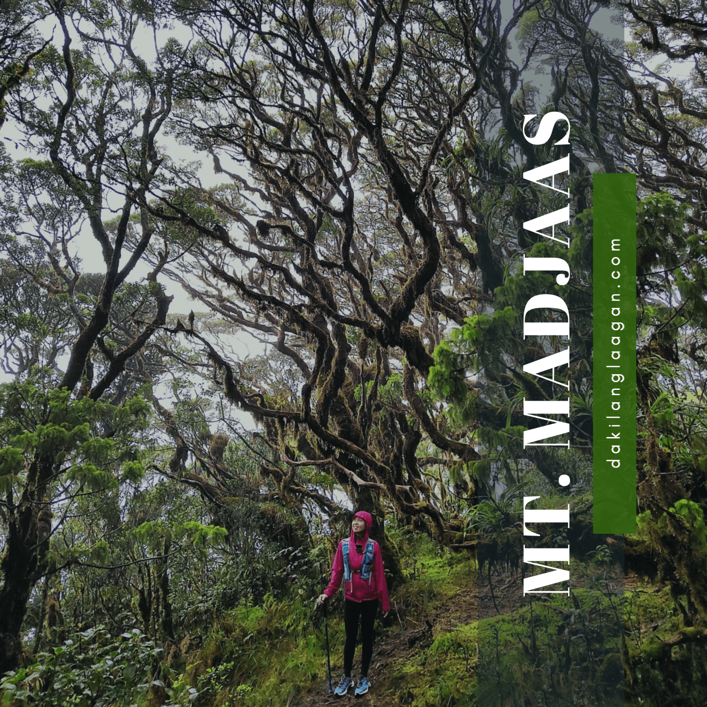 Where to Next? Here are the Top 10 Major Climbs in Visayas – Dakilanglaagan